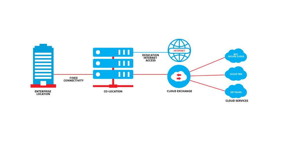 Direct Internet Access(DIA) - Netmanage